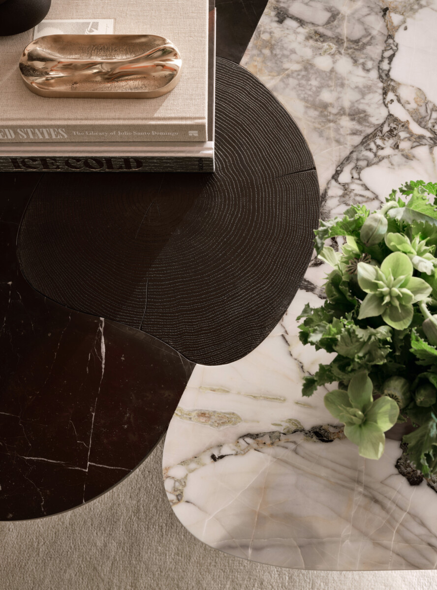 Home - Workshop Collection