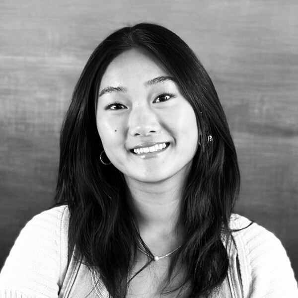 About - Workshop Collection